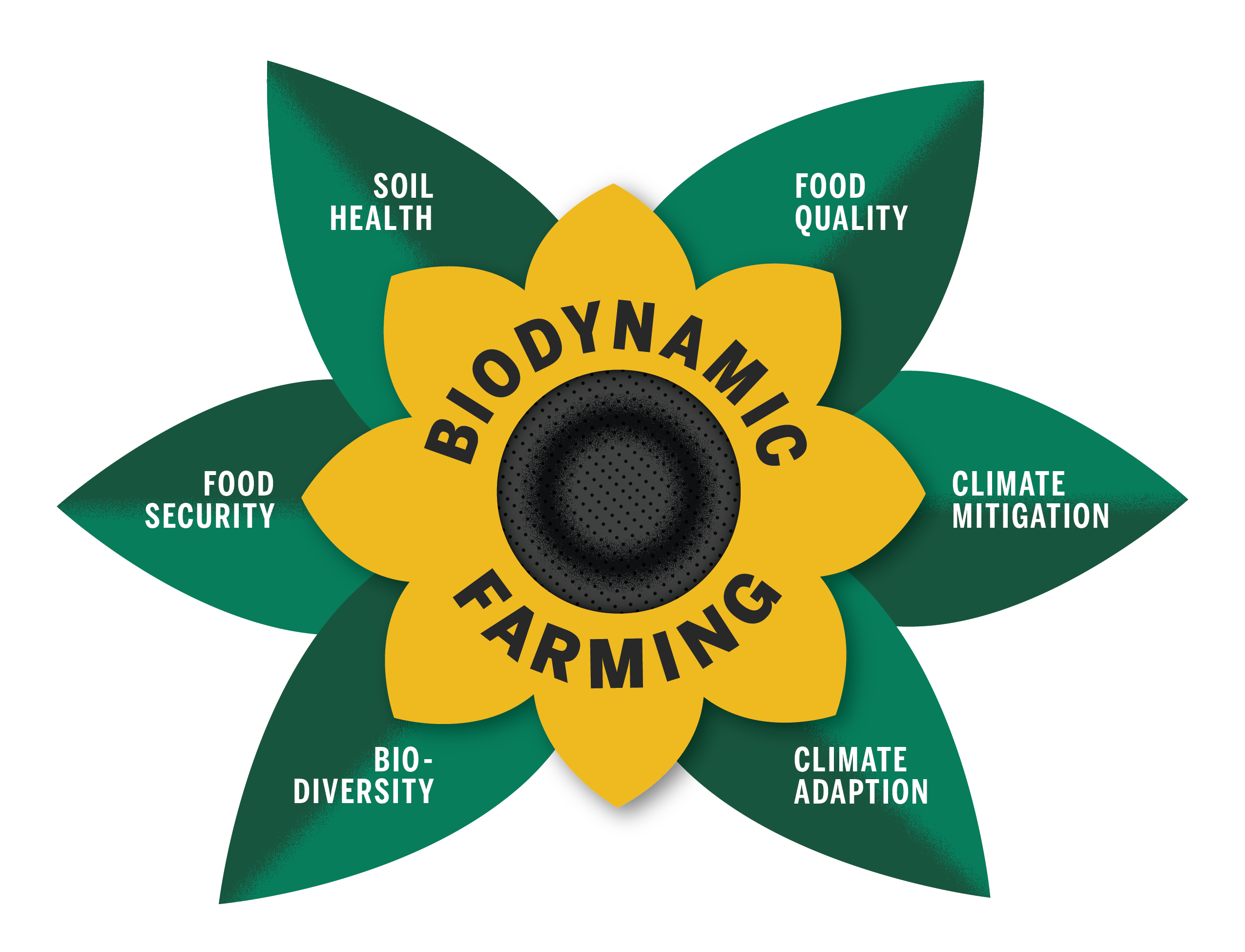 Biodynamic Certification | Flower Essence Services