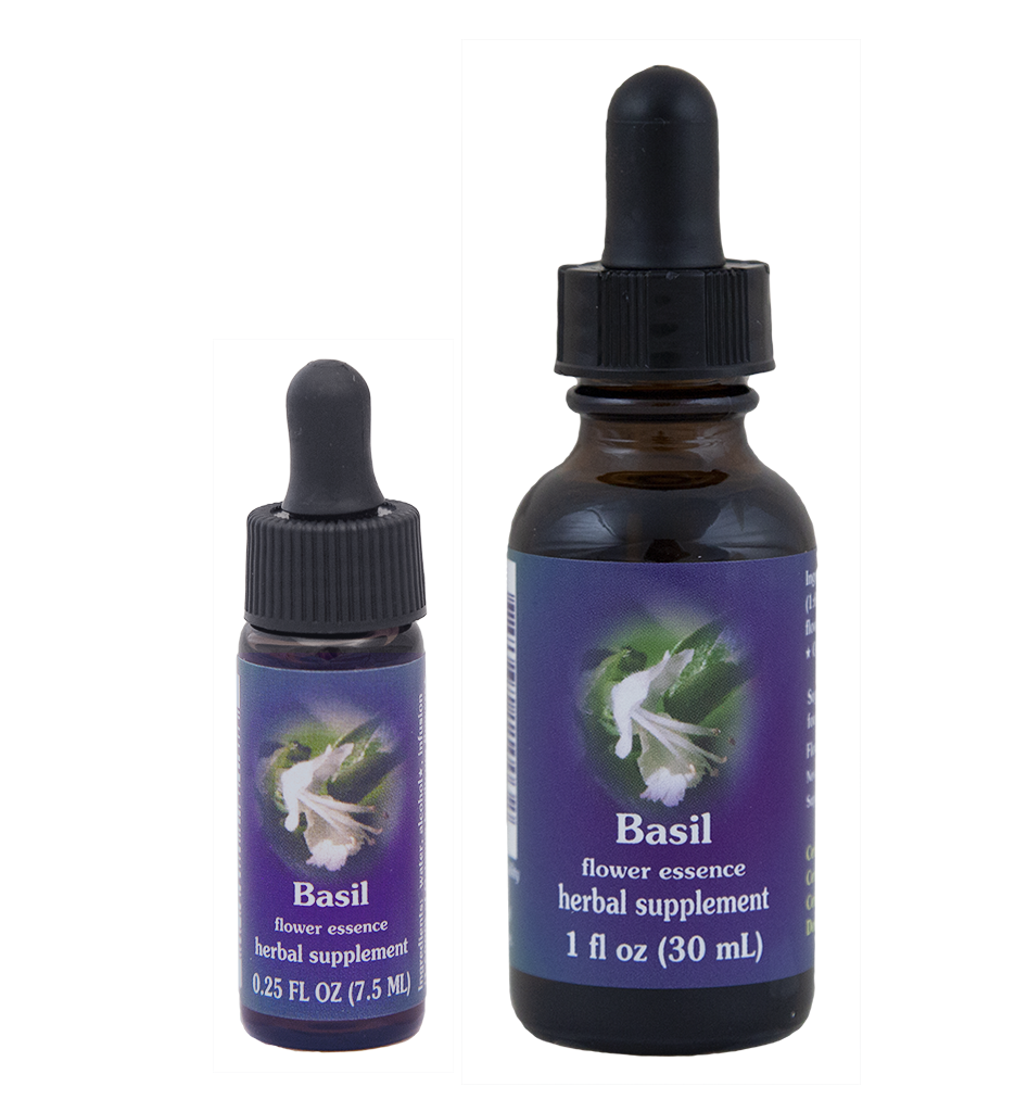 Basil | Flower Essence Services