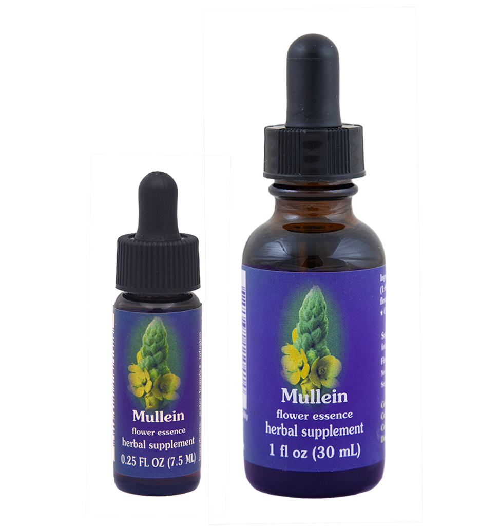 Mullein | Flower Essence Services